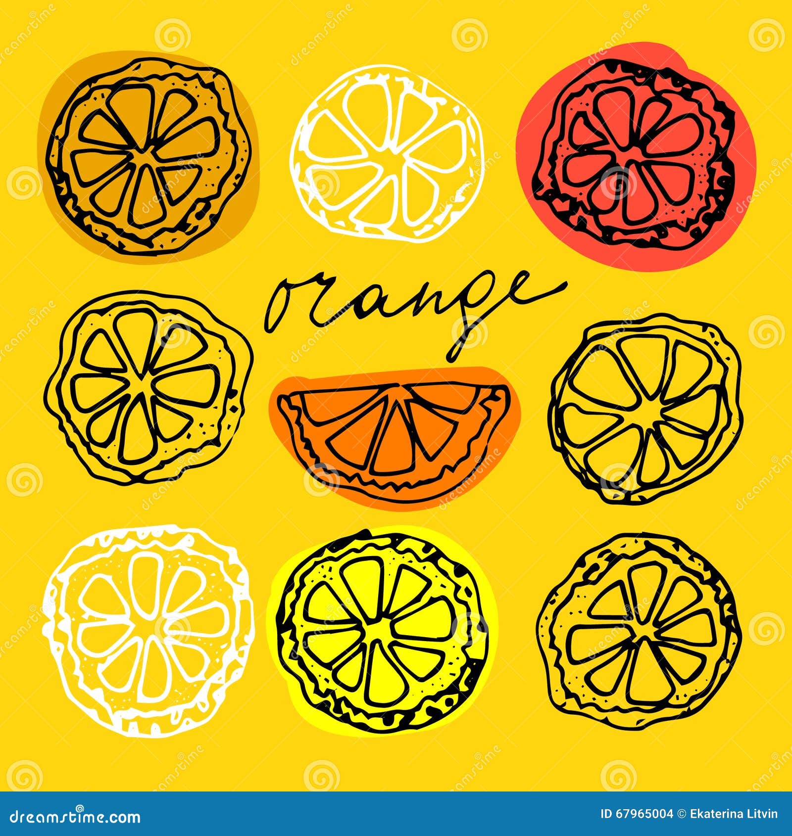 Sketched citrus fruits stock vector. Illustration of ripe - 67965004
