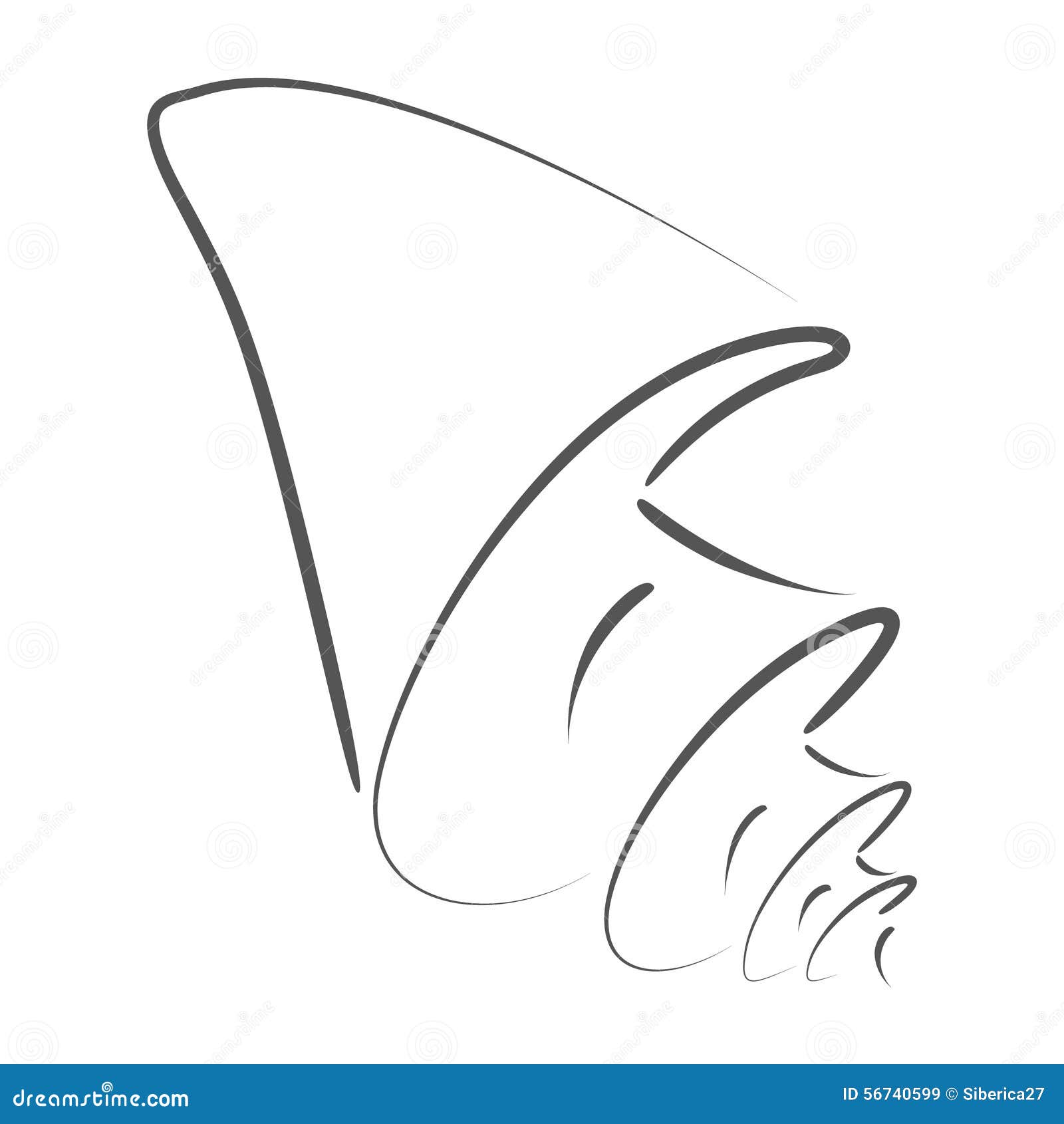 Sketched seashell. stock illustration. Illustration of ornate - 56740599