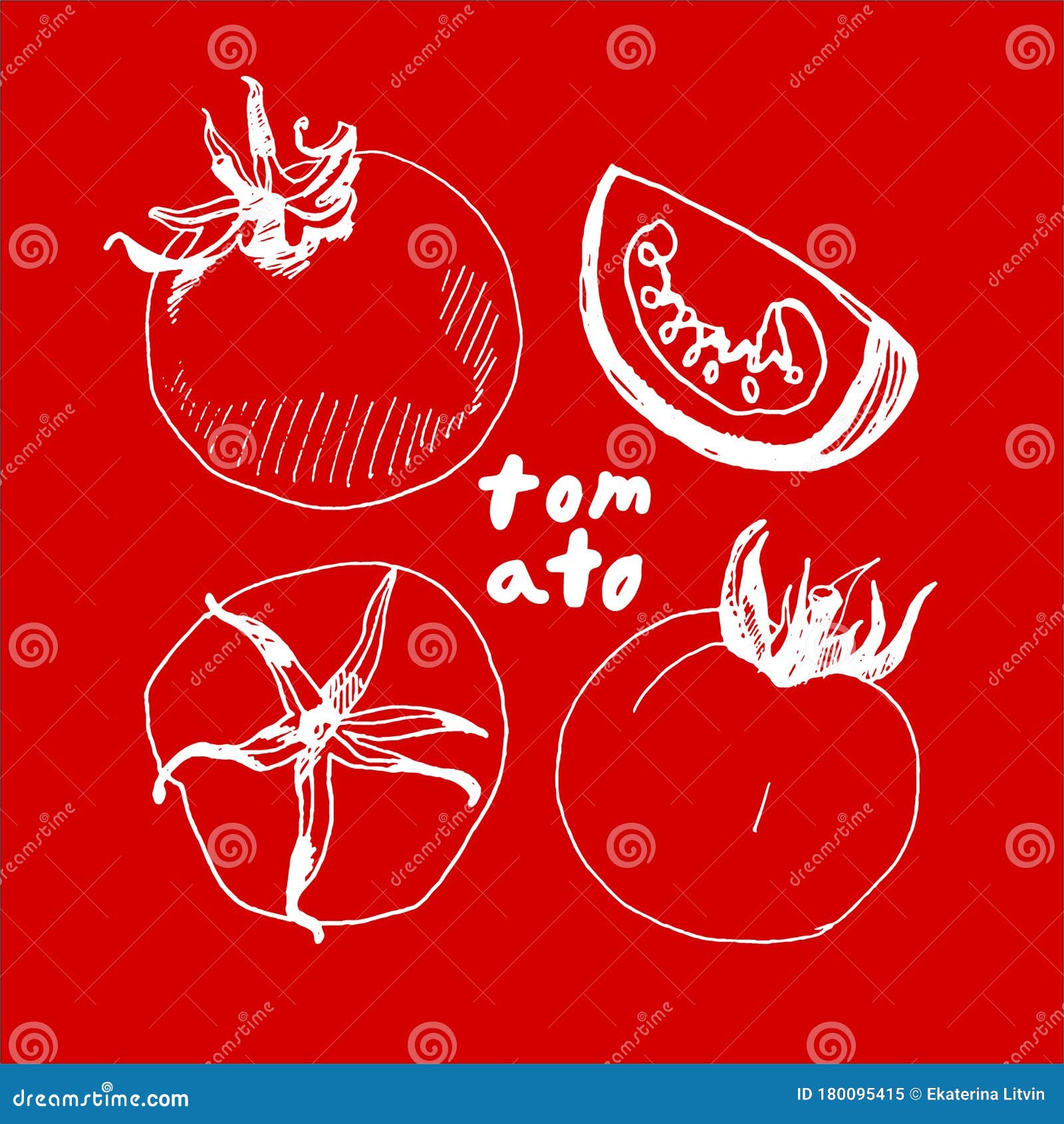 Sketched Tomato on Red Background Stock Vector - Illustration of ...