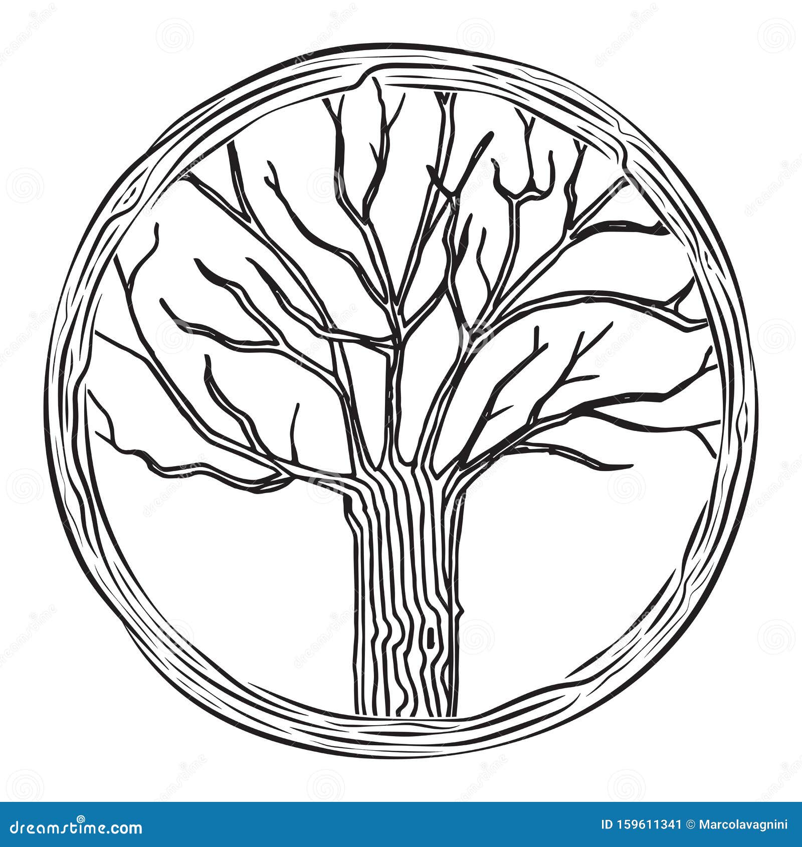 Sketched Tree Inside Circle Stock Vector - Illustration of products ...