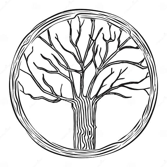 Sketched Tree Inside Circle Stock Vector - Illustration of products ...