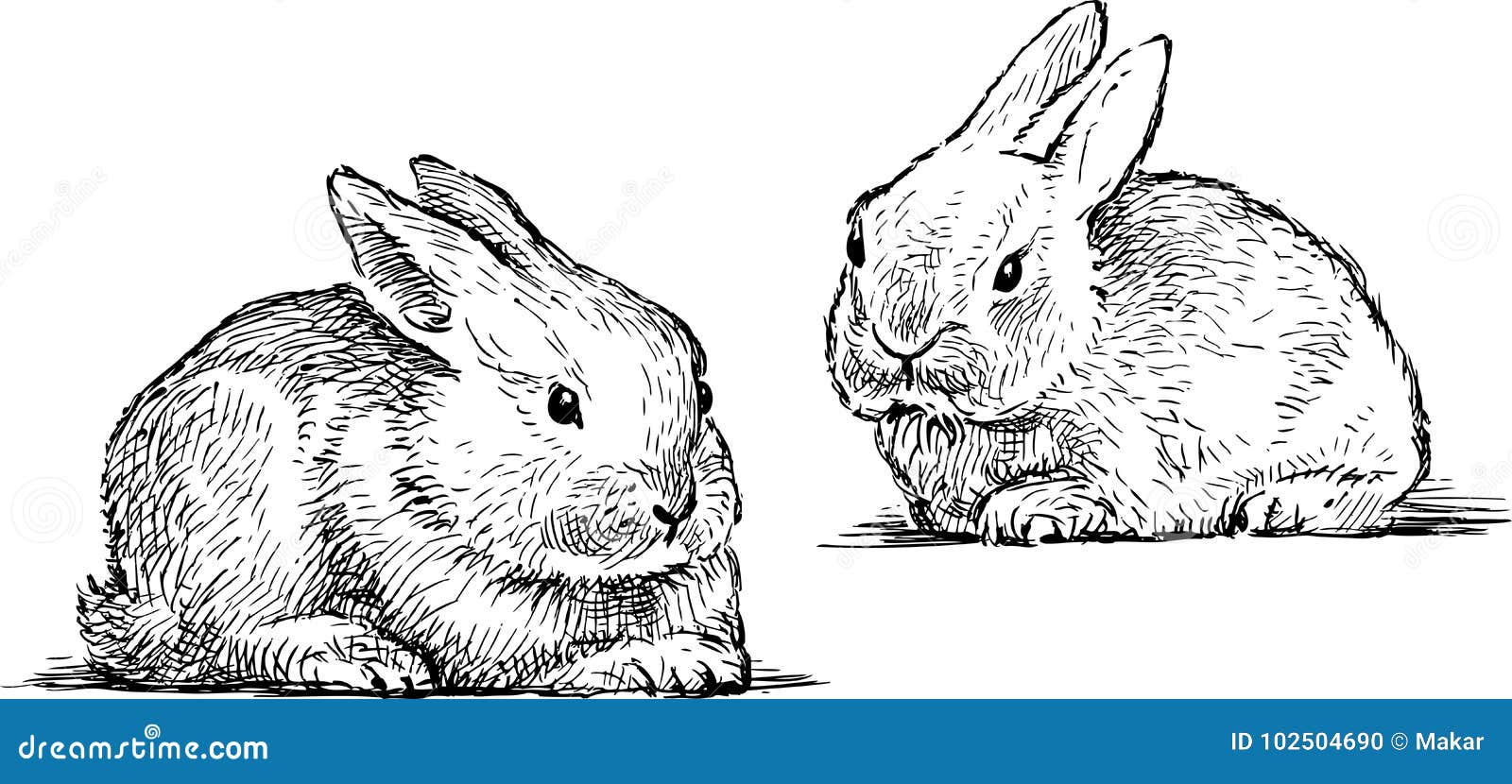 Sketches of the Baby Rabbits Stock Vector - Illustration of weak ...