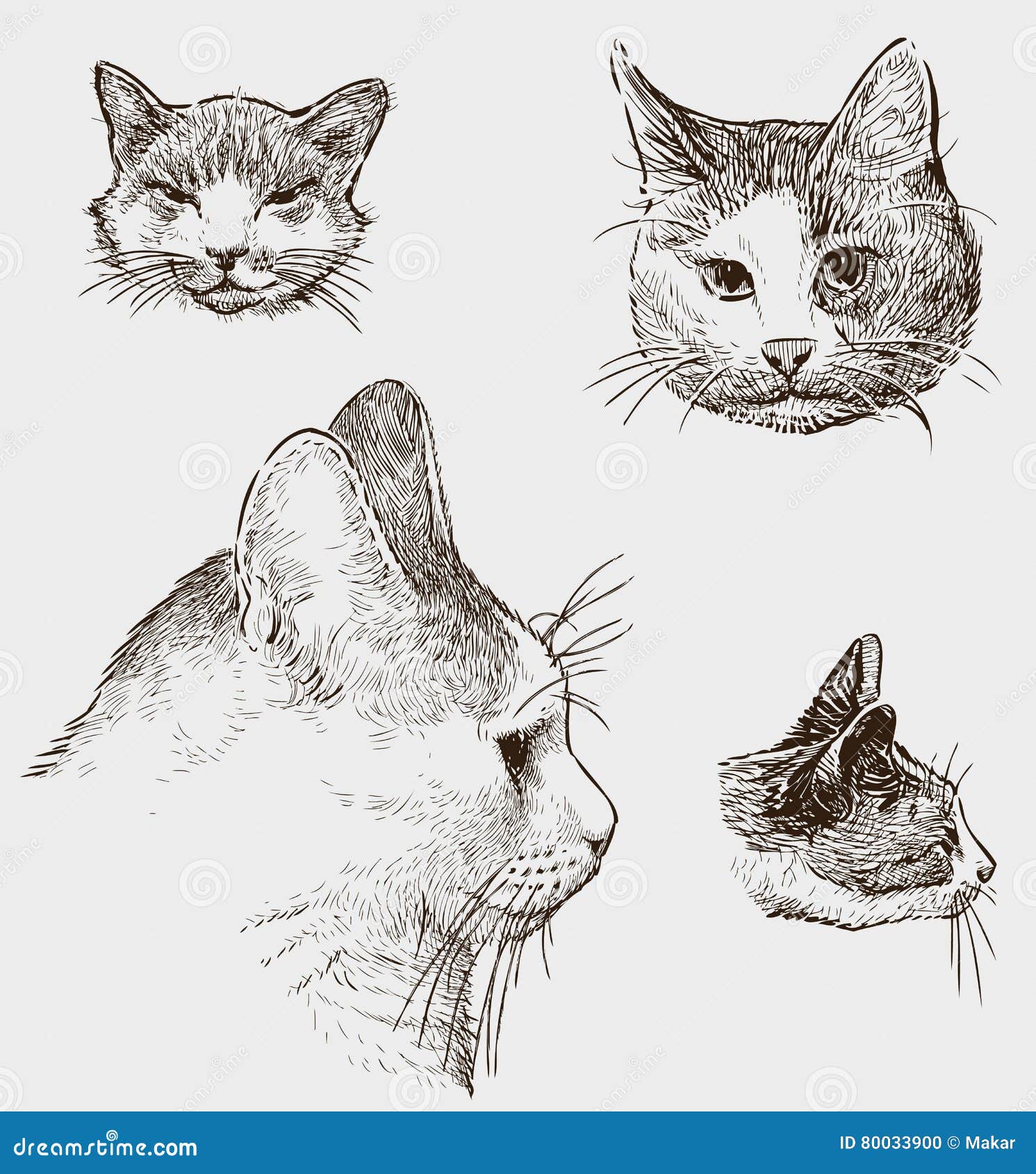 Sketches of the cats heads stock vector. Illustration of animals - 80033900