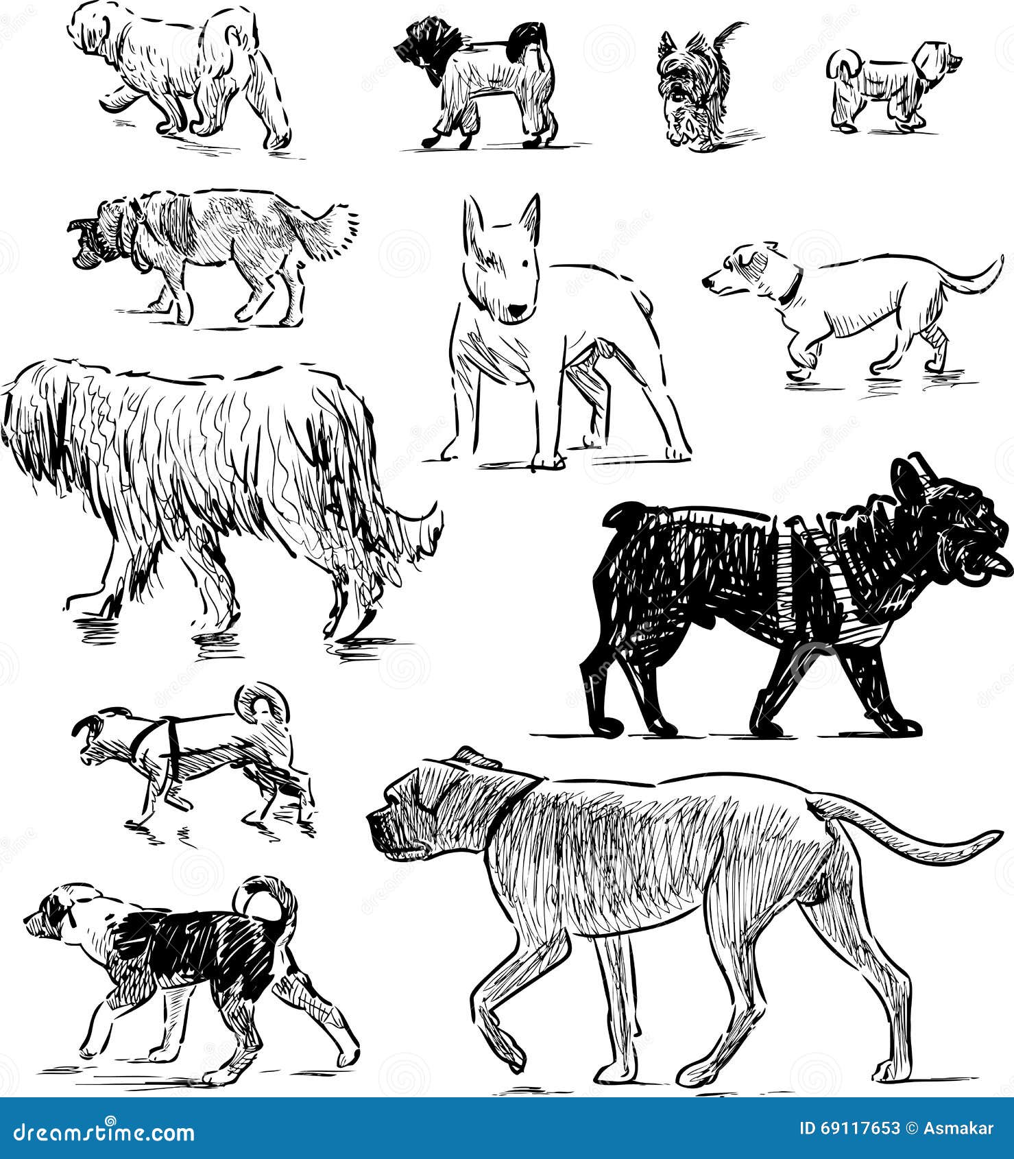Sketches of different dogs stock vector. Illustration of white - 69117653