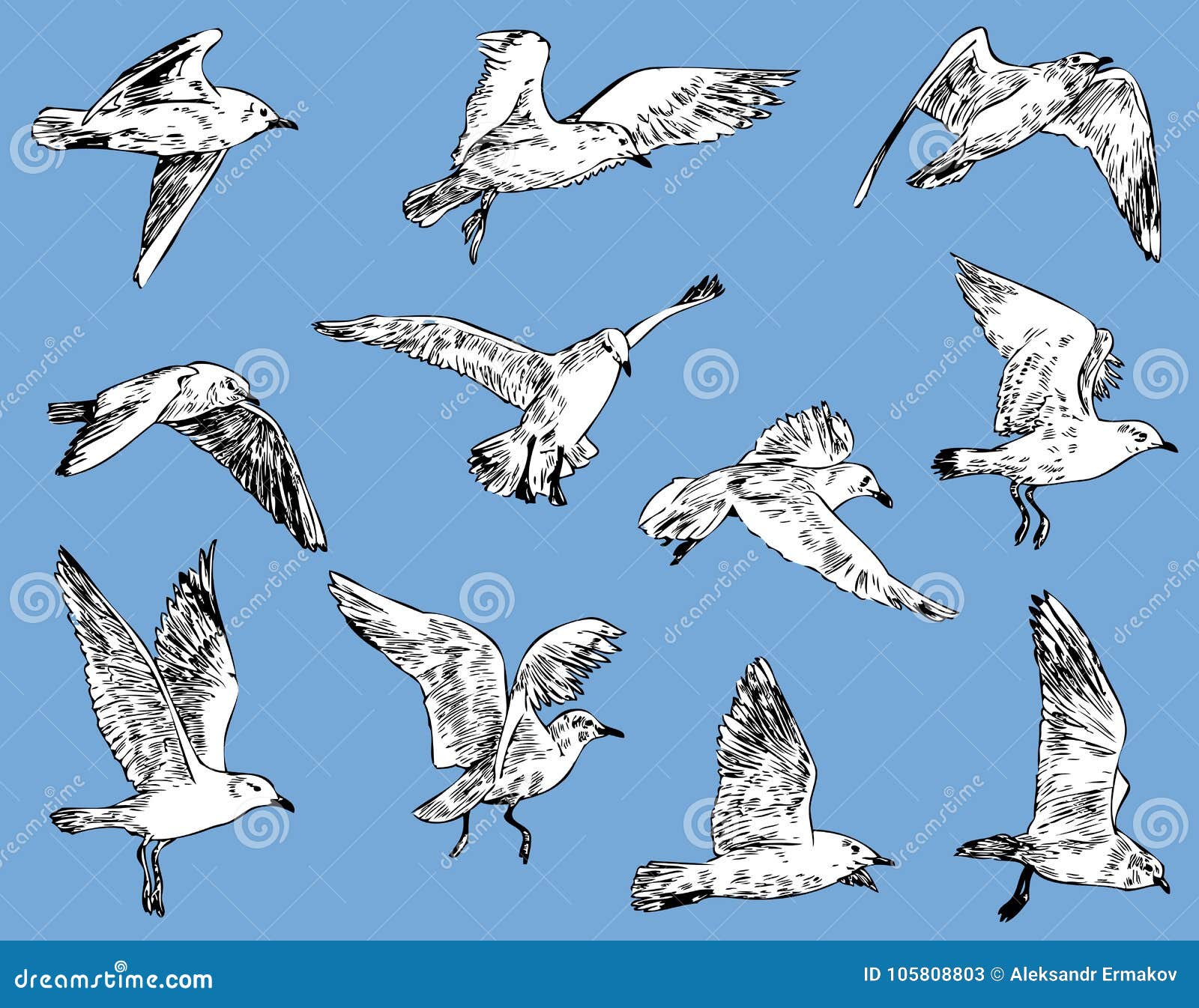 Sketches of the Flying Seagulls Stock Vector - Illustration of white ...