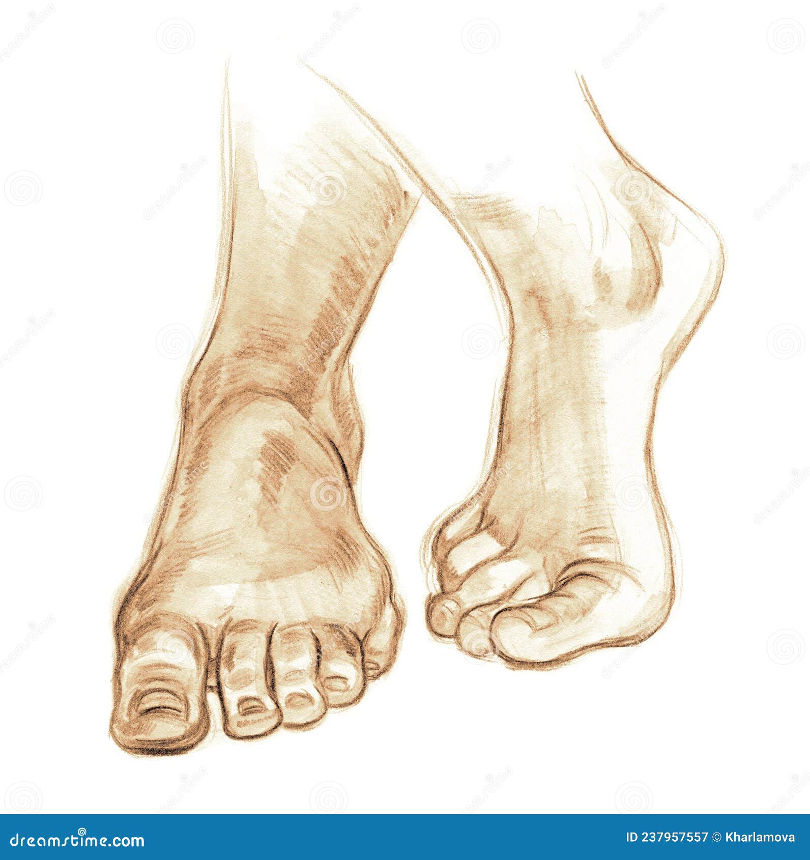 Sketches of Human Legs from Nature Stock Illustration - Illustration of ...