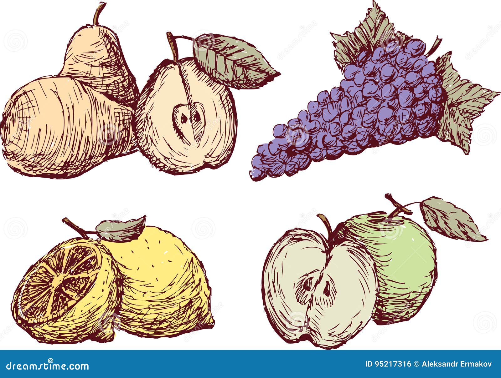 Sketches of the ripe fruit stock vector. Illustration of food - 95217316