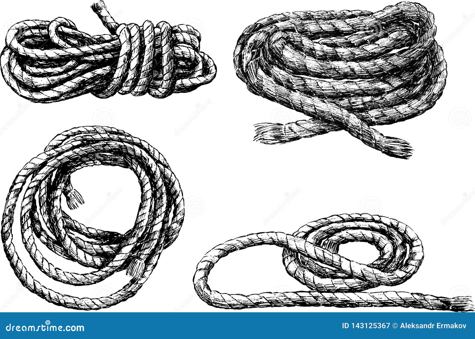 Sketches of Skeins of Rigging Rope Stock Vector - Illustration of ...