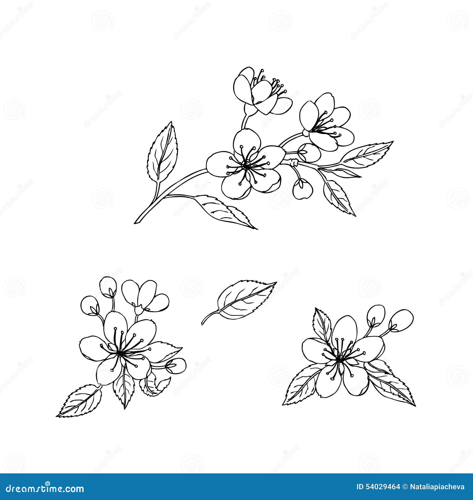 Sketches of spring flowers stock vector. Illustration of flowers - 54029464