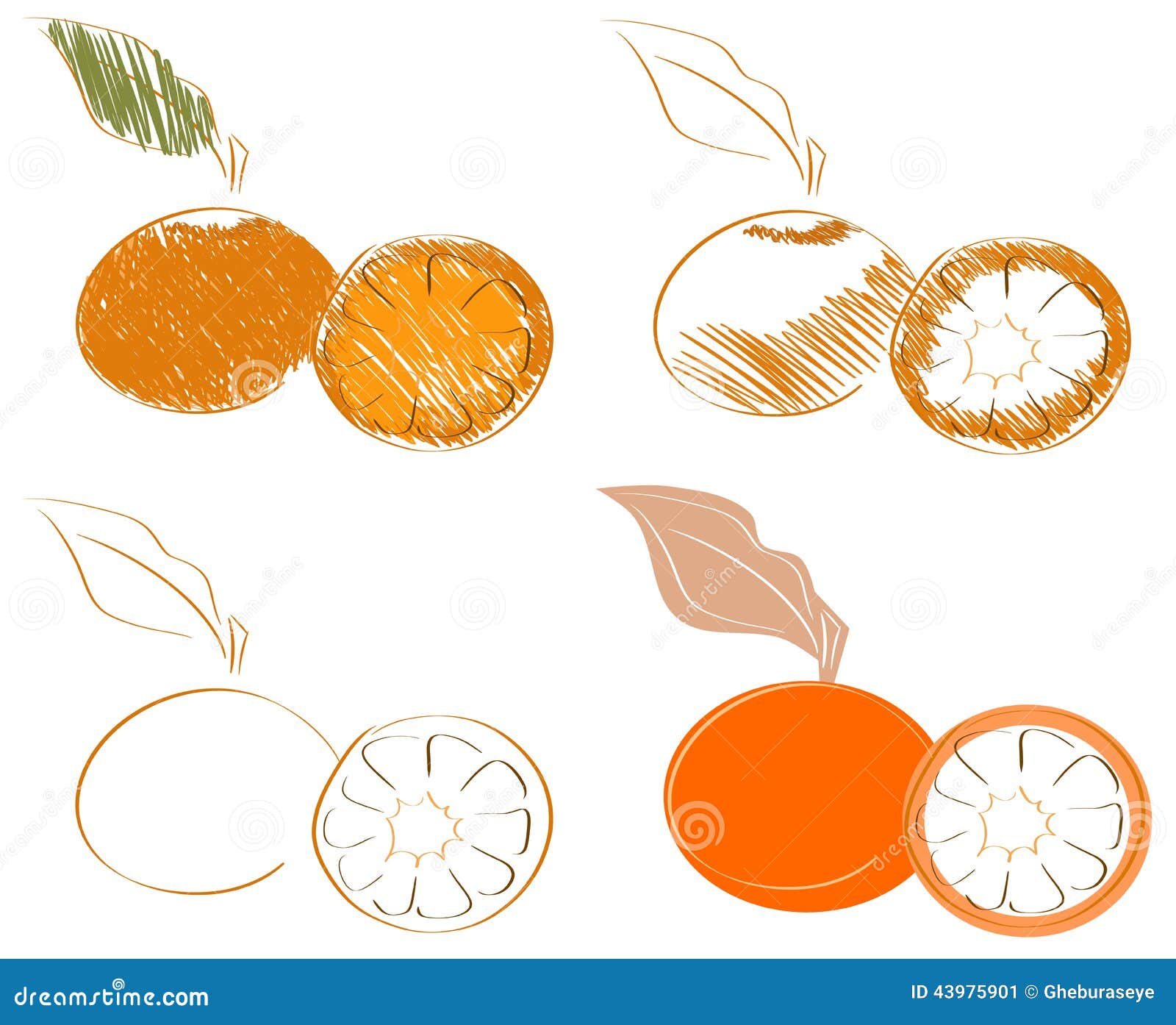 Tangerine Sketches Vector Illustration | CartoonDealer.com #36376940