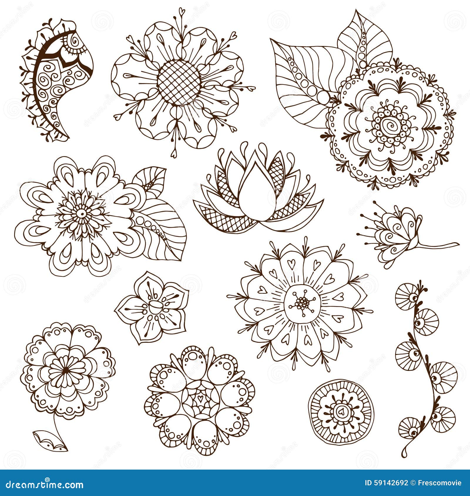 Sketchy flowers stock vector. Illustration of floral - 59142692