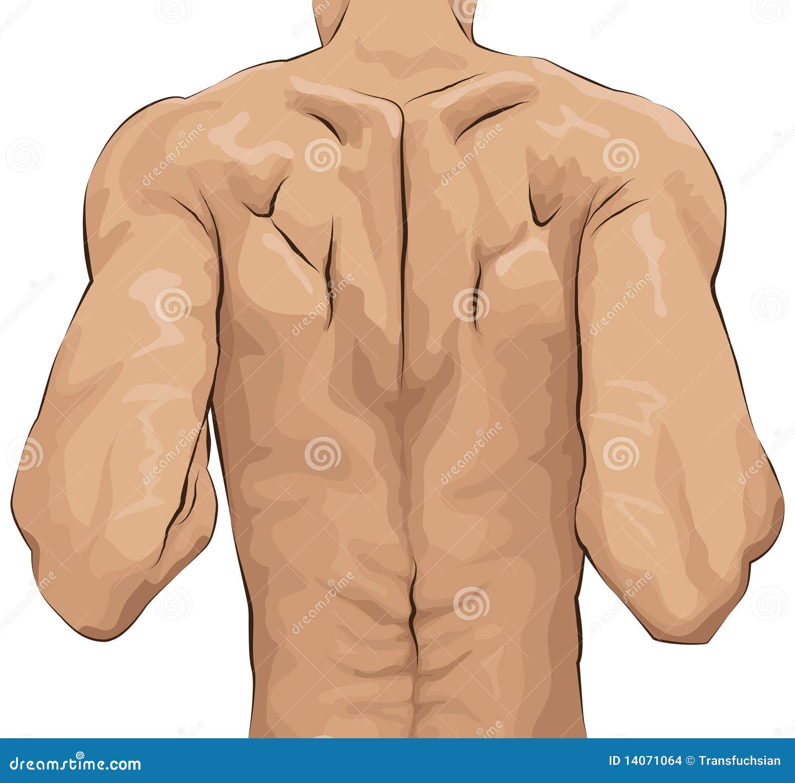 Sketchy Illustration of Man S Back Stock Vector - Illustration of ...