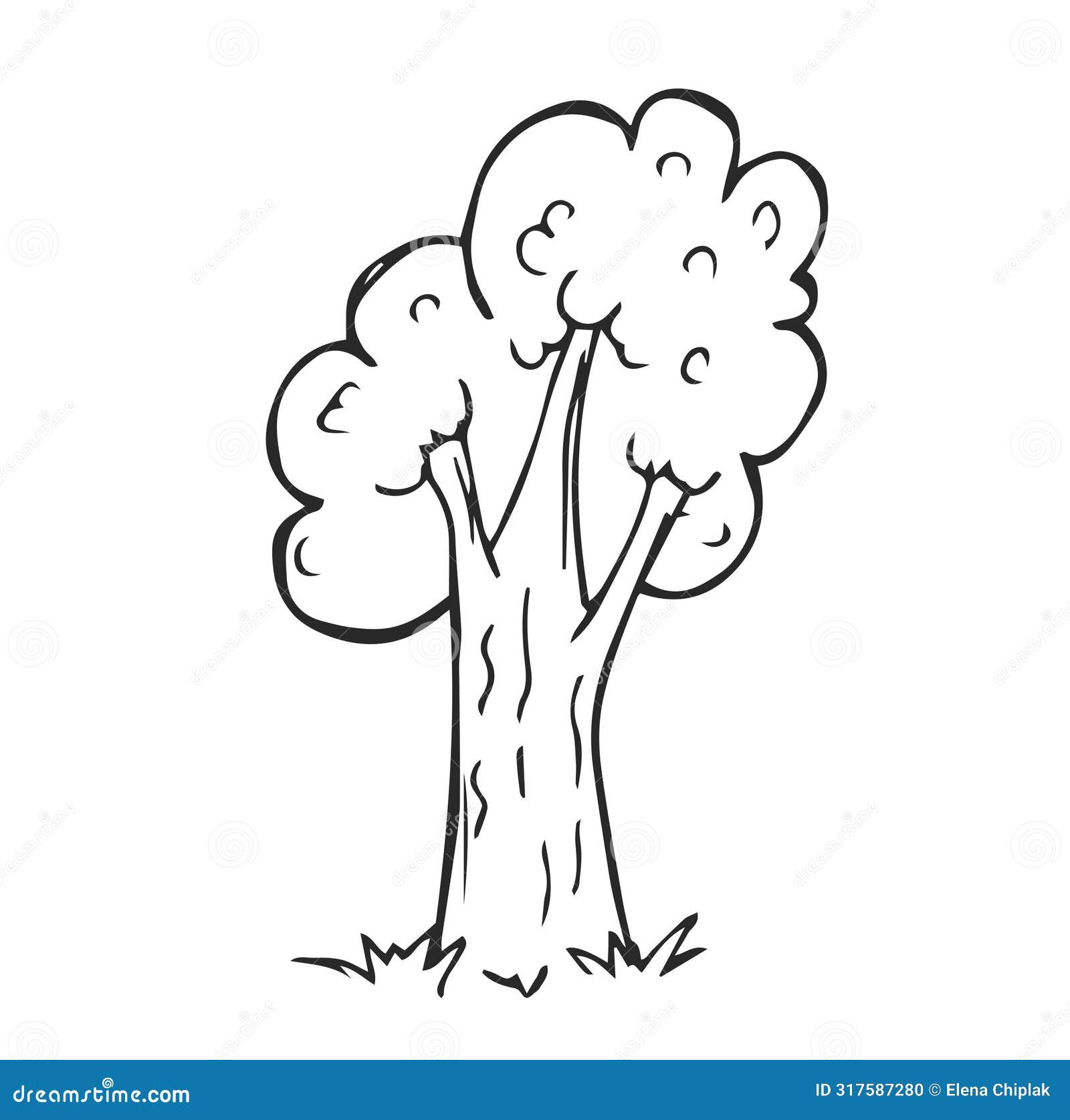 Sketchy Tree Sketch Isolated, Vector Illustration Hand Drawn Stock ...