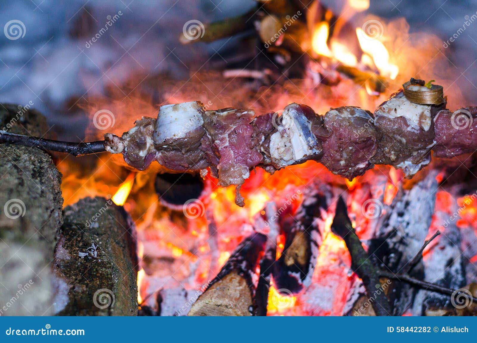 Skewers of Beef, Pork Cooked on a Campfire Stock Photo - Image of ...