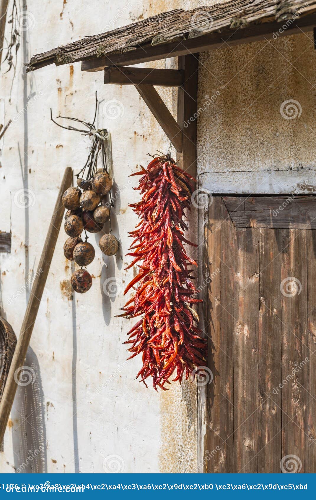 Skewers of Chilli Hanging from the Eaves of the House Stock Photo ...