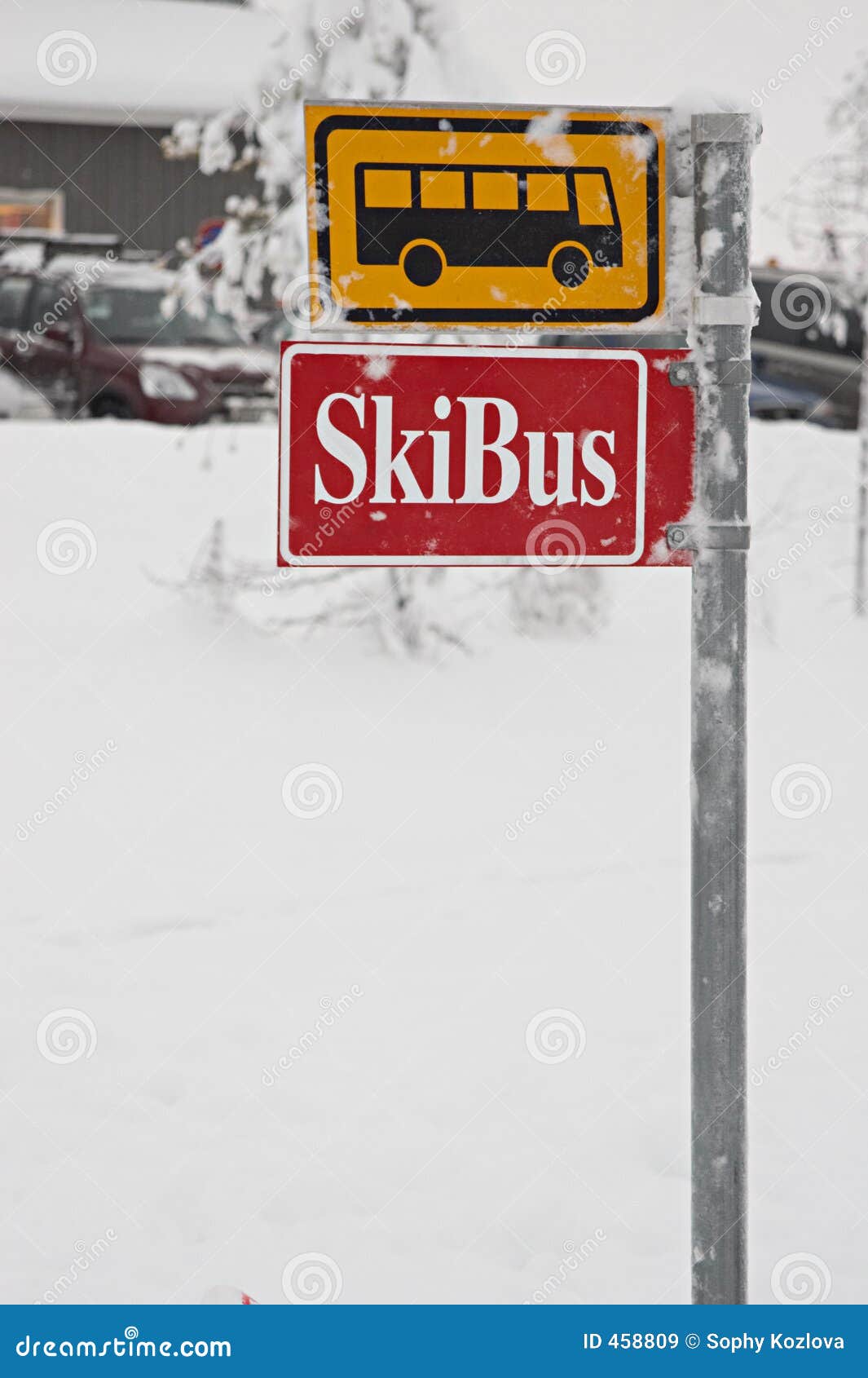 Ski Bus sign stock image. Image of winter, yellow, white - 458809