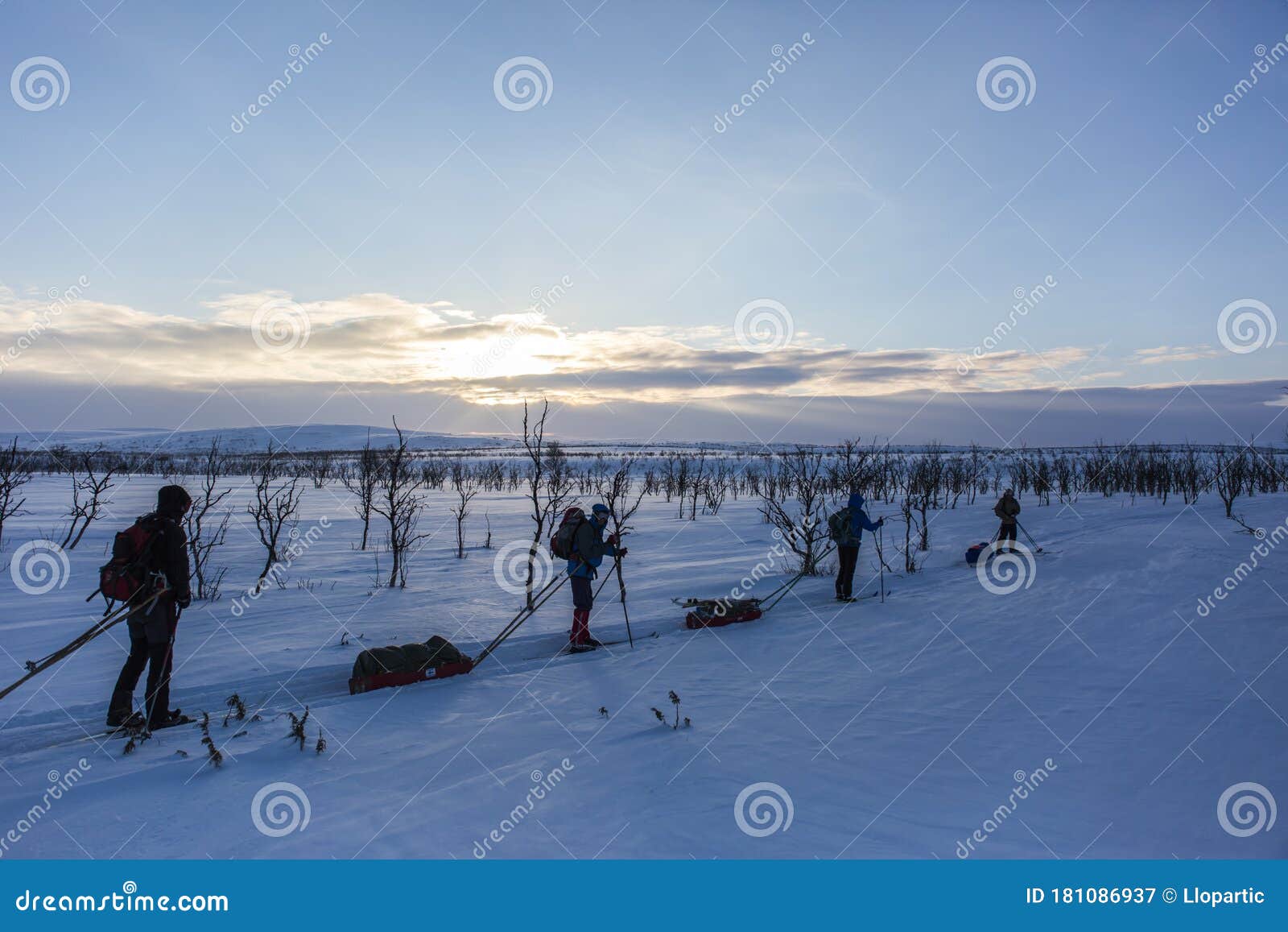Ski Expedition in Nuorgam, Lapland, Finland Editorial Photography ...