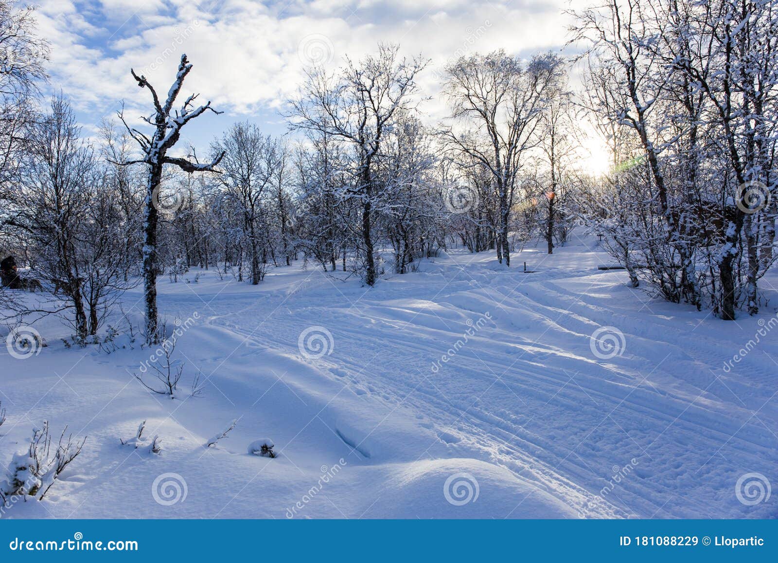 Ski Expedition in Nuorgam, Lapland, Finland Stock Image - Image of cold ...