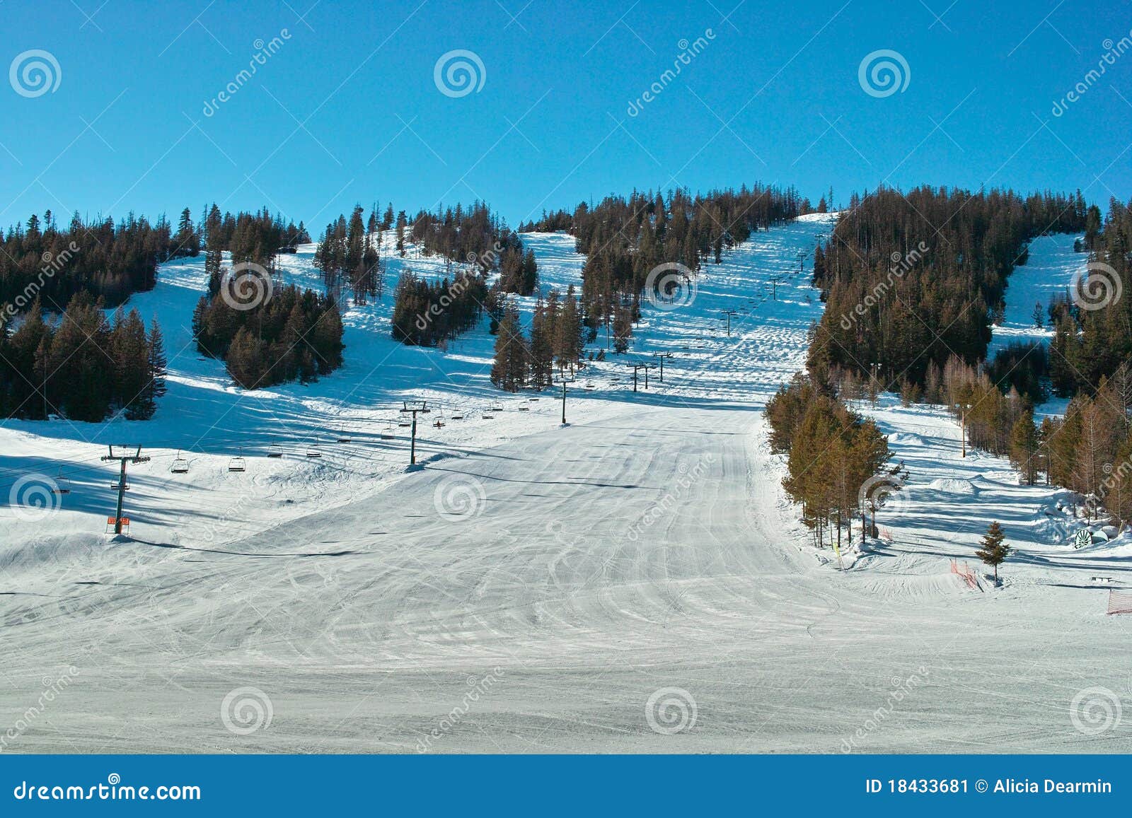 Ski hill and trees stock image. Image of slope, area - 18433681
