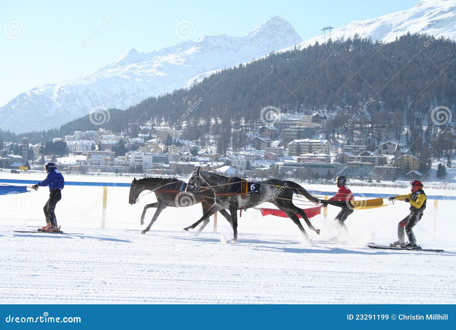 Ski Joring / Joering Race editorial stock image. Image of february ...