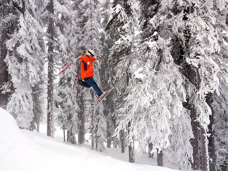 Ski jump stock image. Image of snow, vacation, jump, skier - 12939161