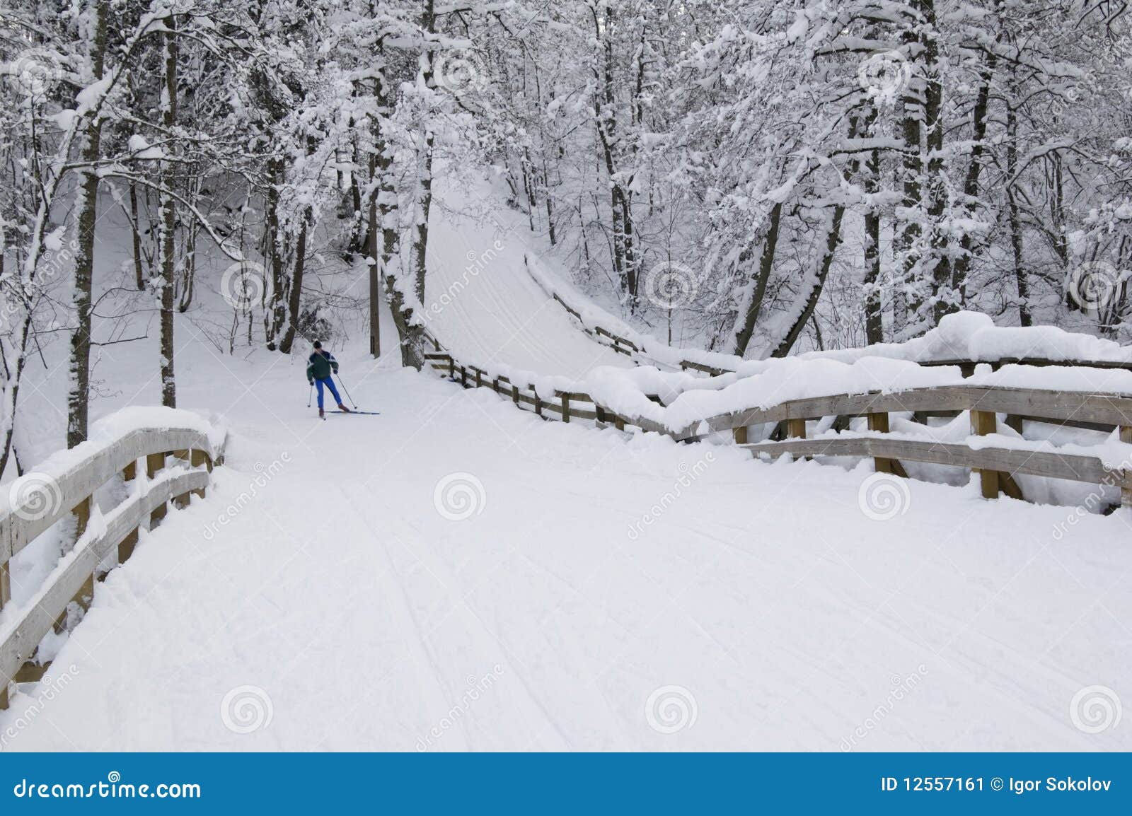 Ski line stock image. Image of lifestyle, play, relax - 12557161