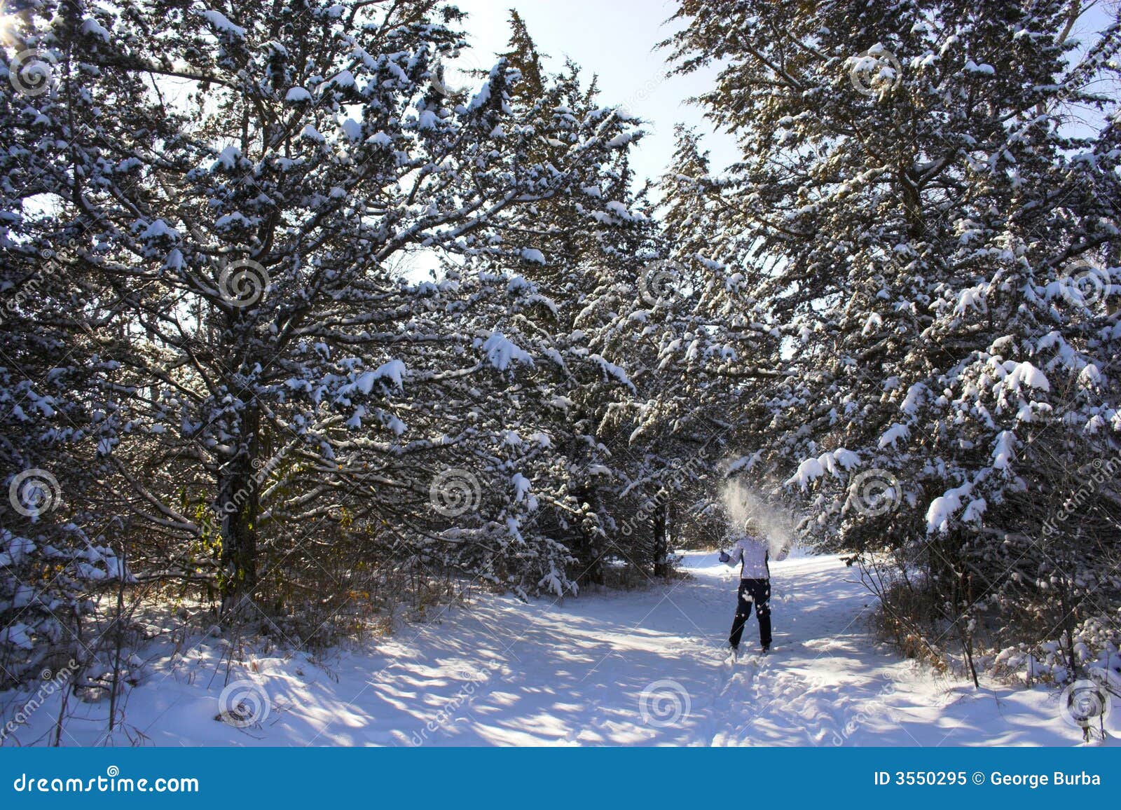 Ski Nebraska stock image. Image of skiing, child, moving - 3550295