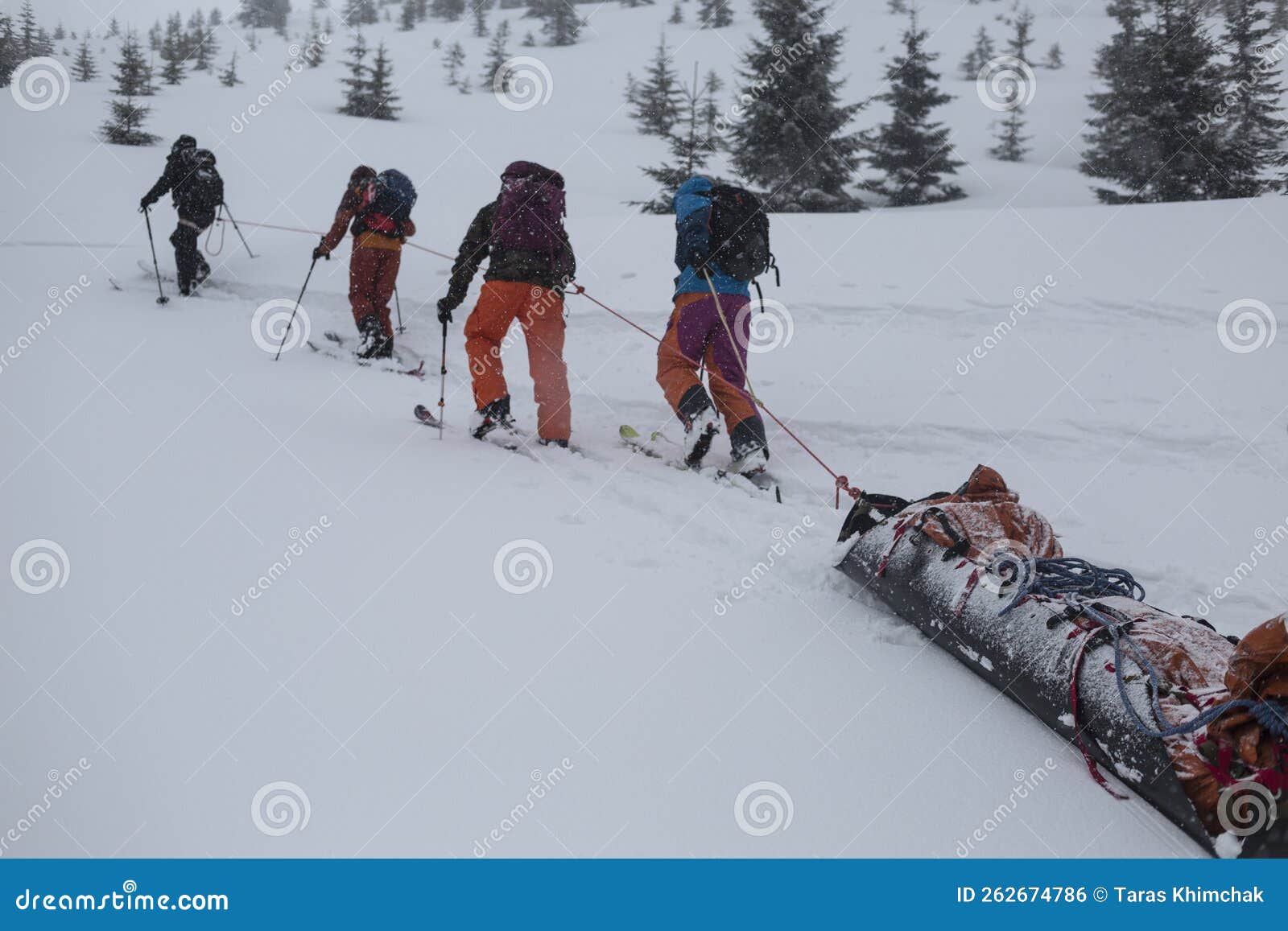 Ski Rescuers Pull a Special Sled Akya in the Mountains with the Victim ...