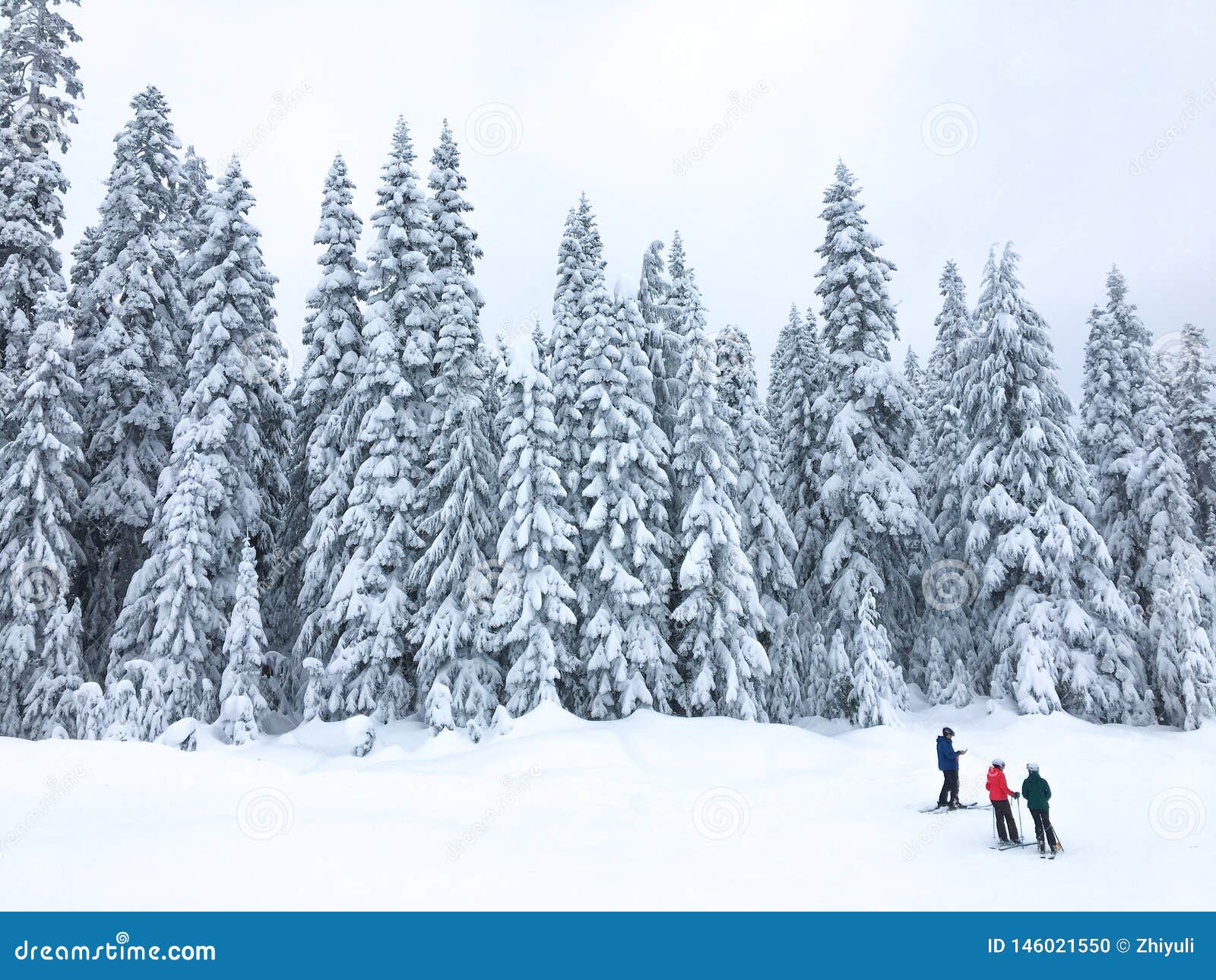Ski Resort in Summit at Snoqualmie Stock Photo - Image of freezing ...