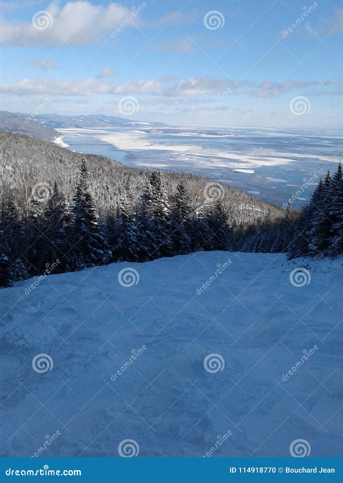 Ski river mogols stock photo. Image of mogols, forest - 114918770