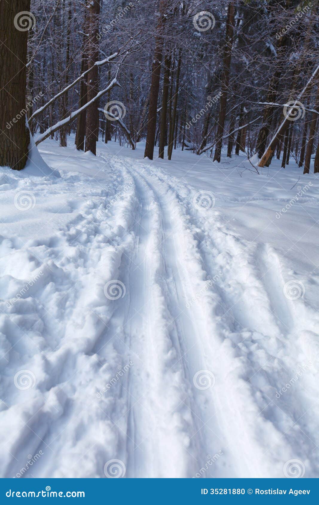 Ski Road stock photo. Image of beautiful, cross, scenery - 35281880