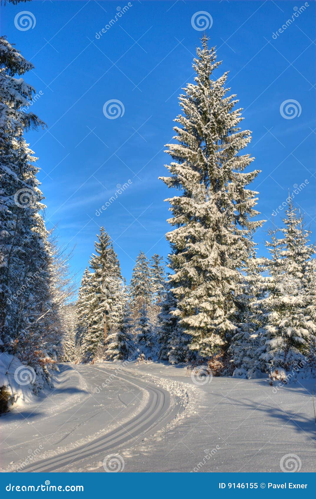 Ski Road to Orle stock image. Image of shine, skiing, road - 9146155