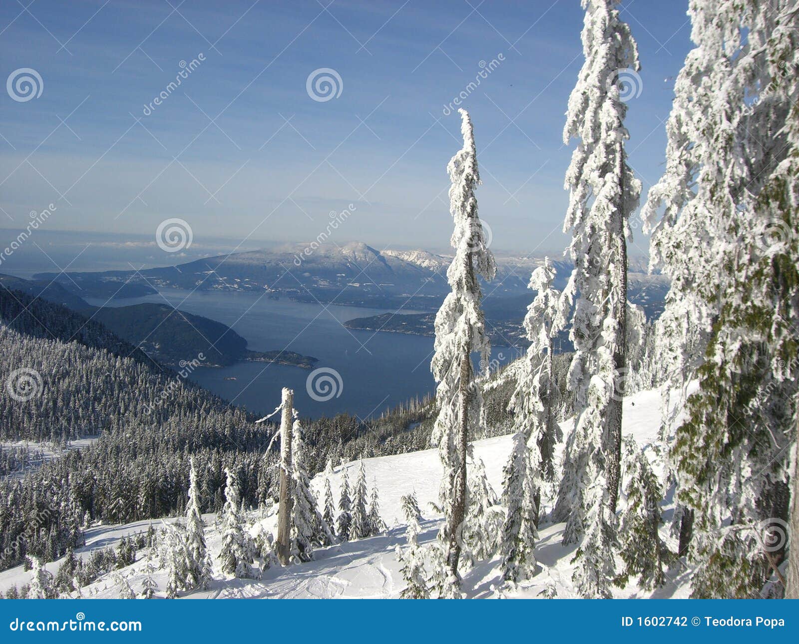Ski run and ocean stock photo. Image of outlook, mountain - 1602742