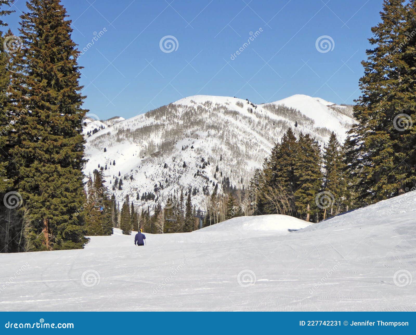 Solitude Ski Resort in Utah Stock Image - Image of beautiful, pine ...