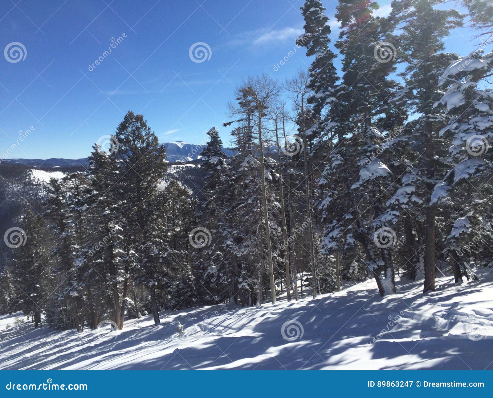Ski run trees stock image. Image of snow, bunny, trees - 89863247