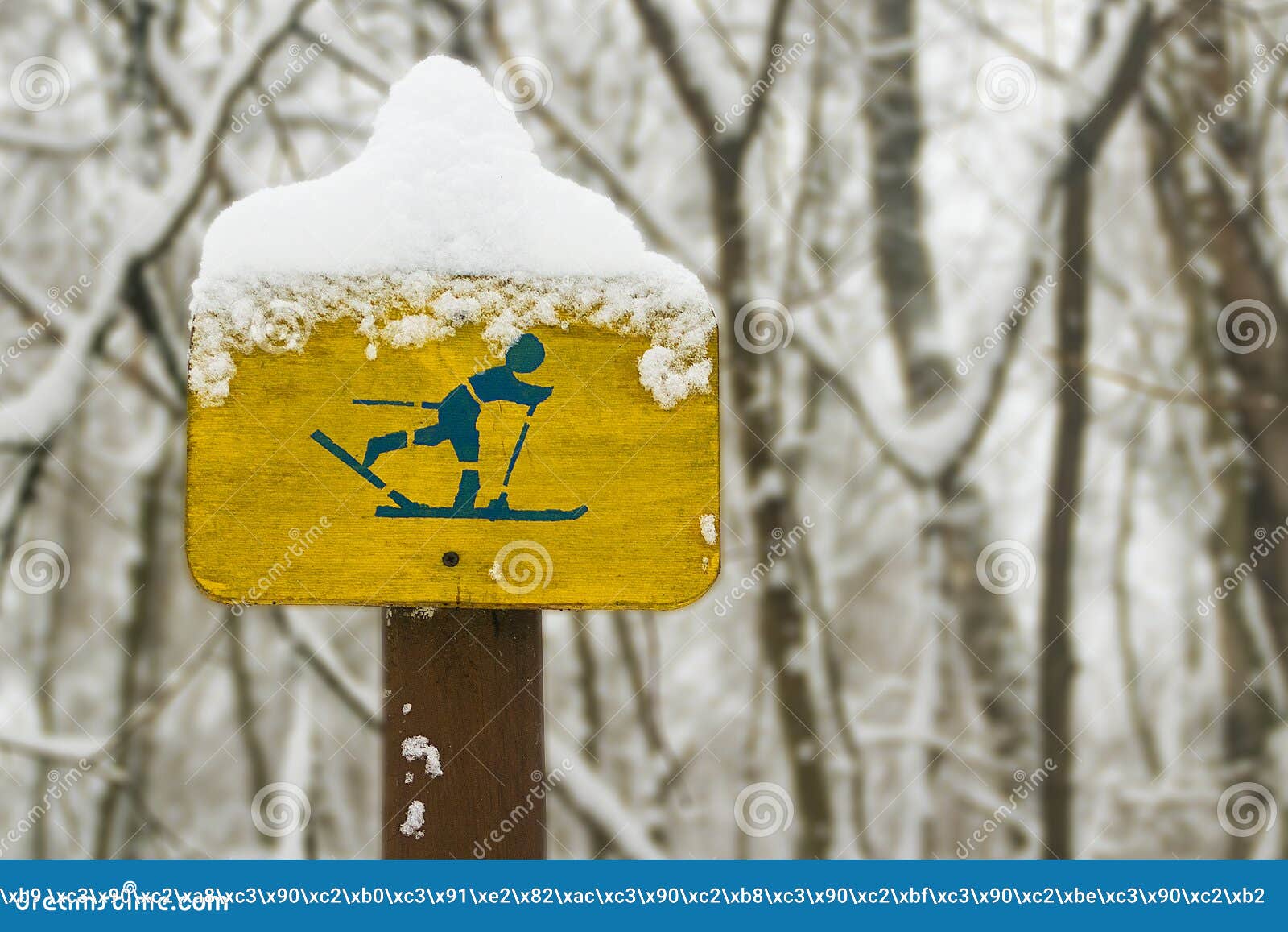 Snow-covered Yellow Sign with a Skier on the Ski Track Stock Photo ...