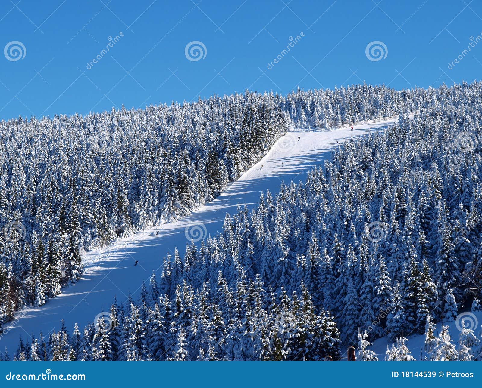 Ski slope stock image. Image of cold, slope, trees, condensation - 18144539