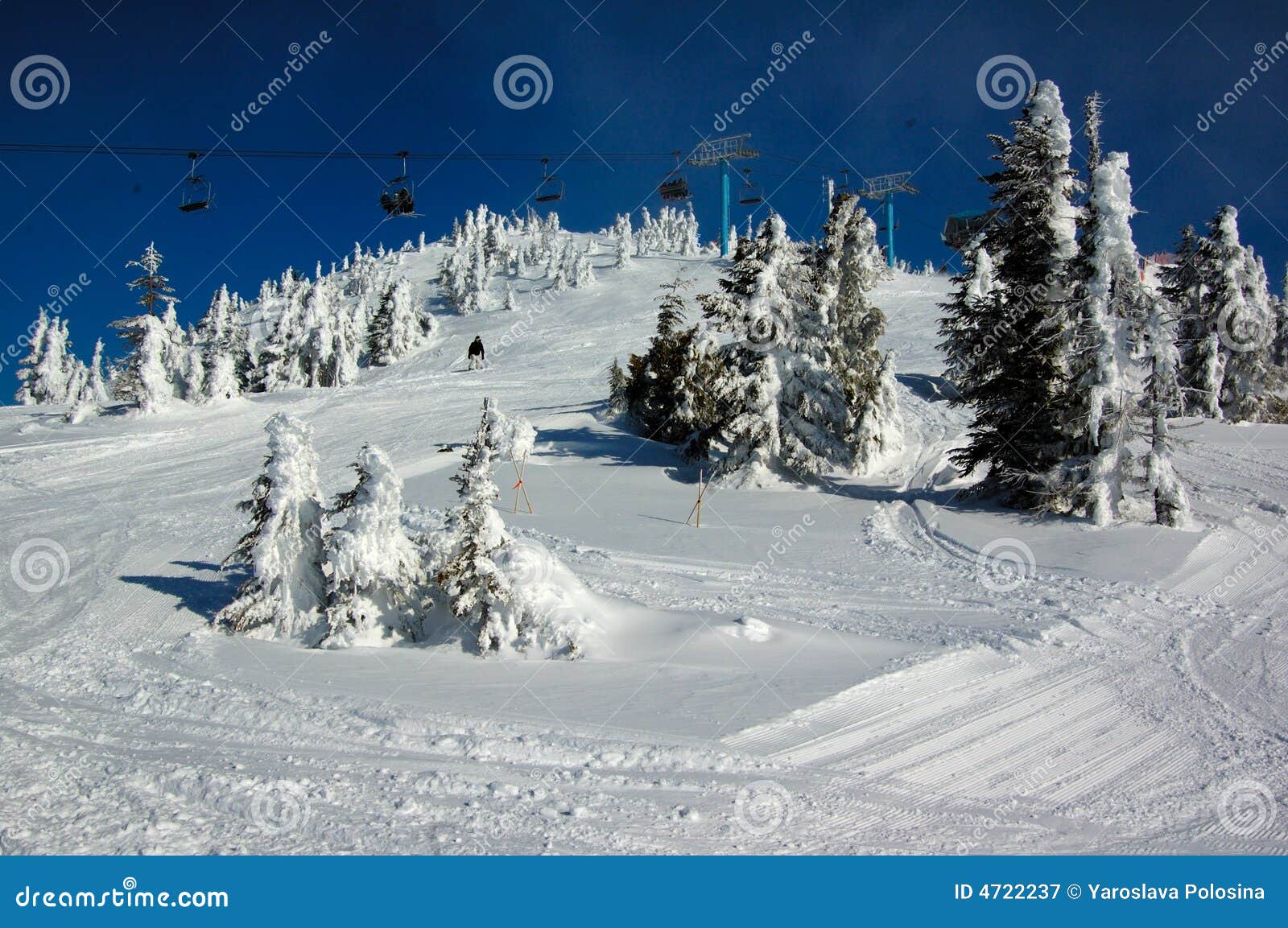 Ski Slope in the Snow Forest Stock Image - Image of mountain, sport ...