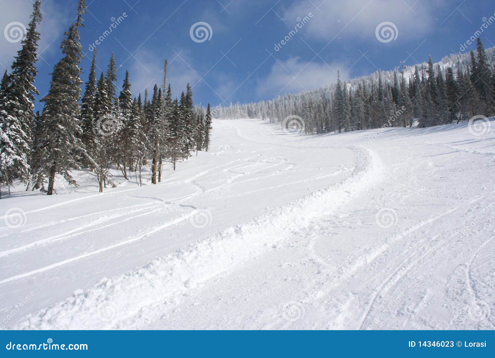 Ski Slope in the Snow Forest in Sunny Winter Day Stock Image - Image of ...
