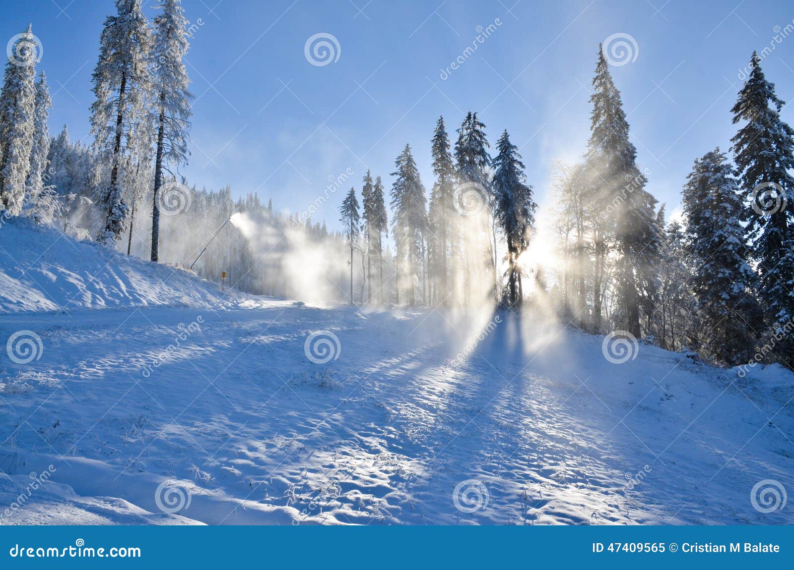 Ski Slope with Snow and Sunshine through the Trees Stock Image - Image ...