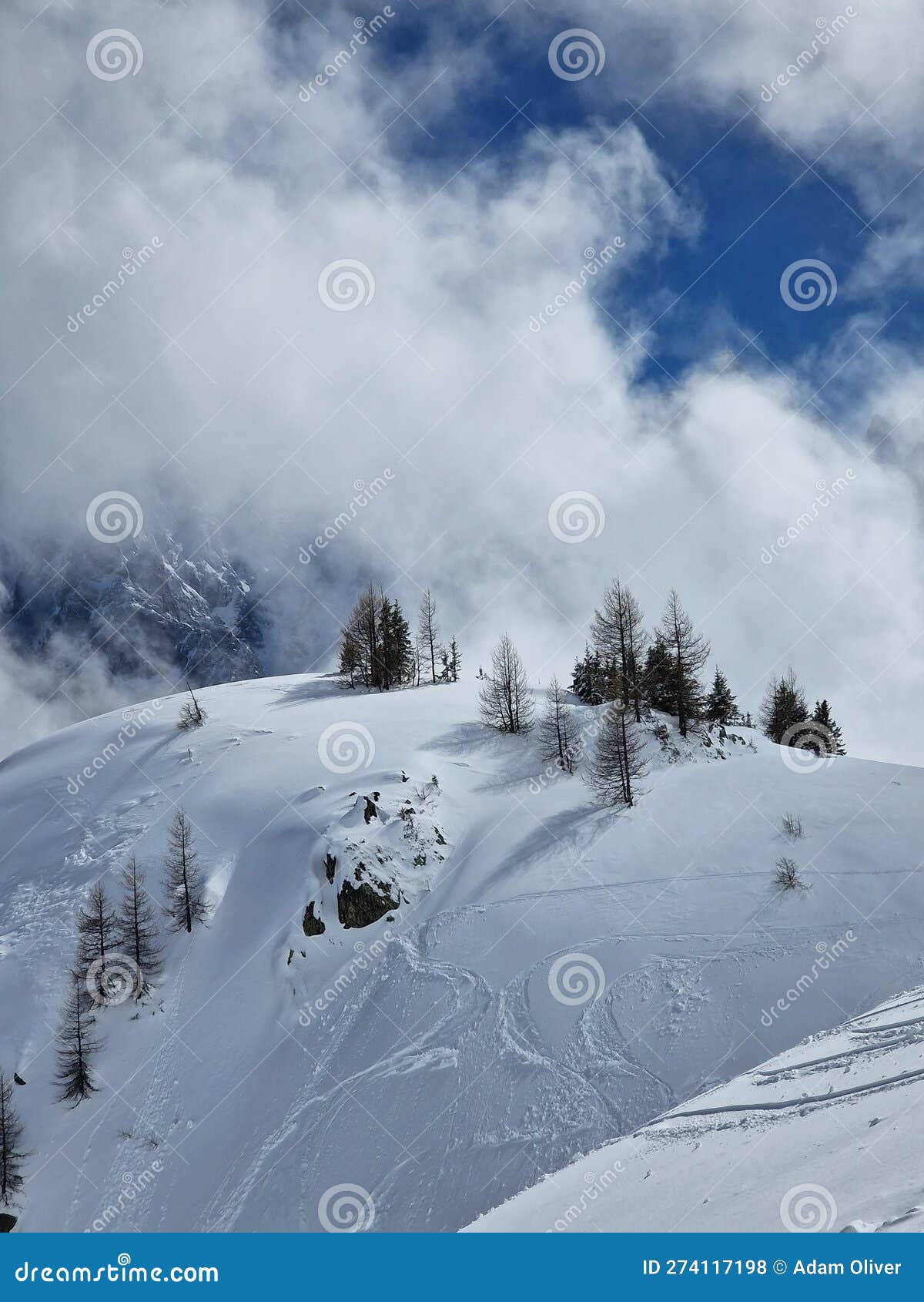 Ski Slope with Trees in Chamonix Resort on a Sunny Day Stock Photo ...