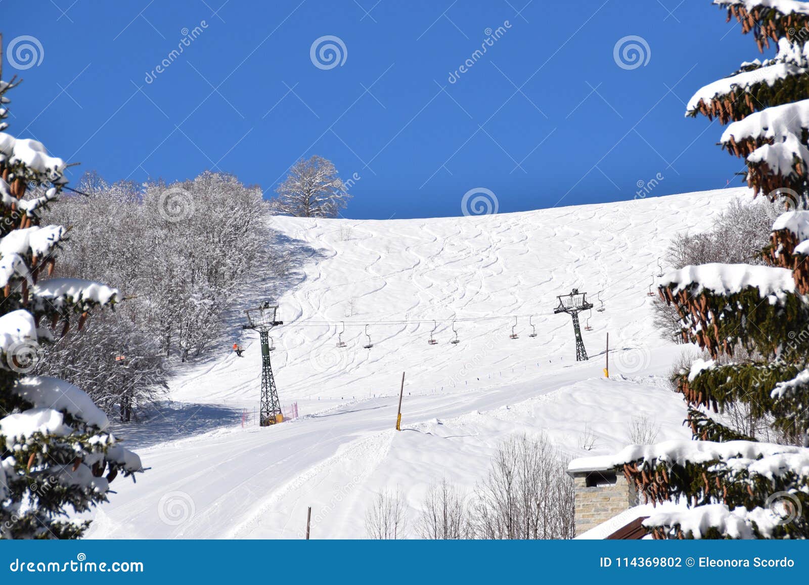 Ski slope in the trees stock photo. Image of limone - 114369802