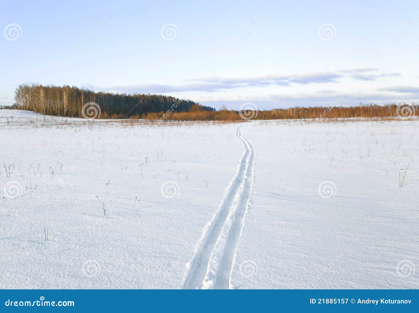 Ski track stock image. Image of recreation, flat, evening - 21885157