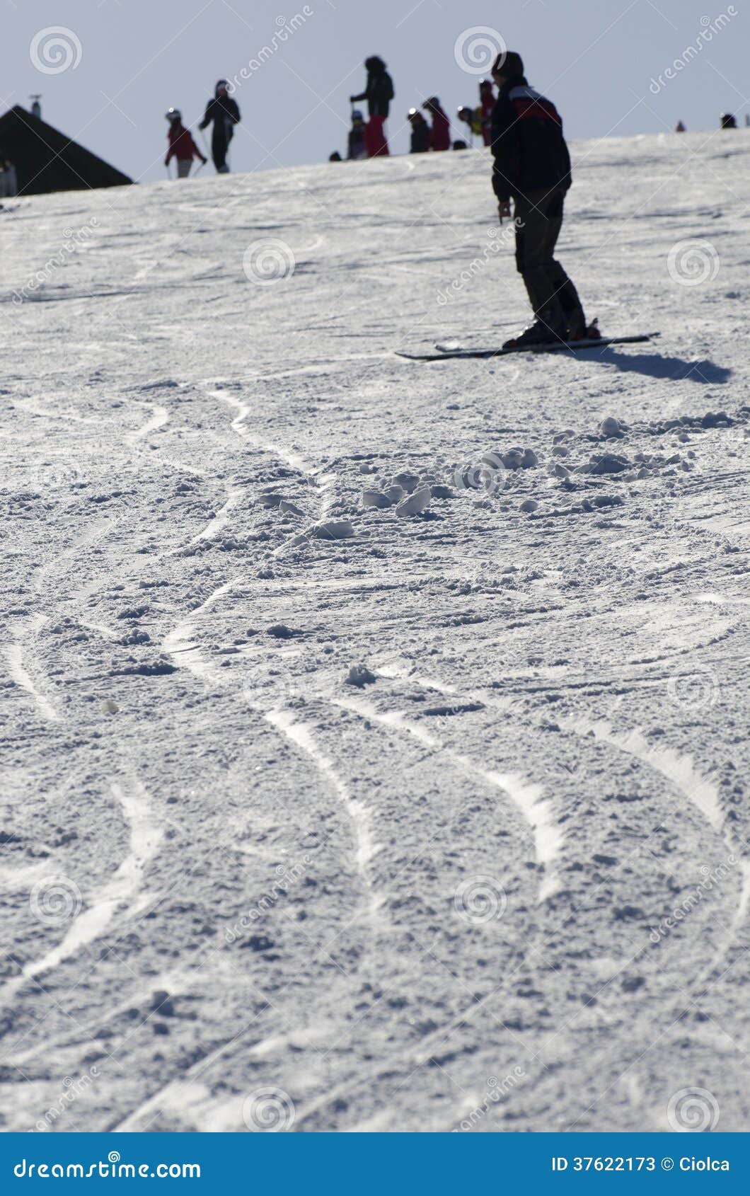 Ski tracks stock image. Image of holding, school, children - 37622173