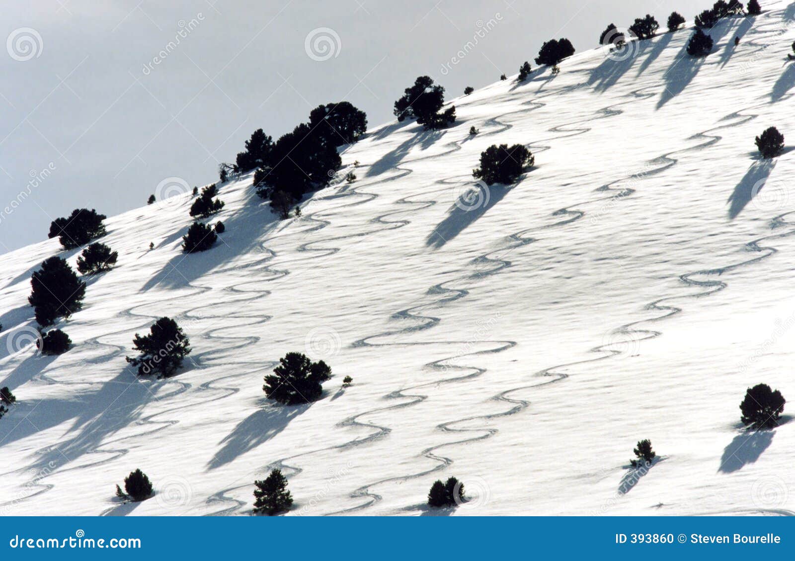 Ski Tracks stock photo. Image of mountain, turns, winter - 393860
