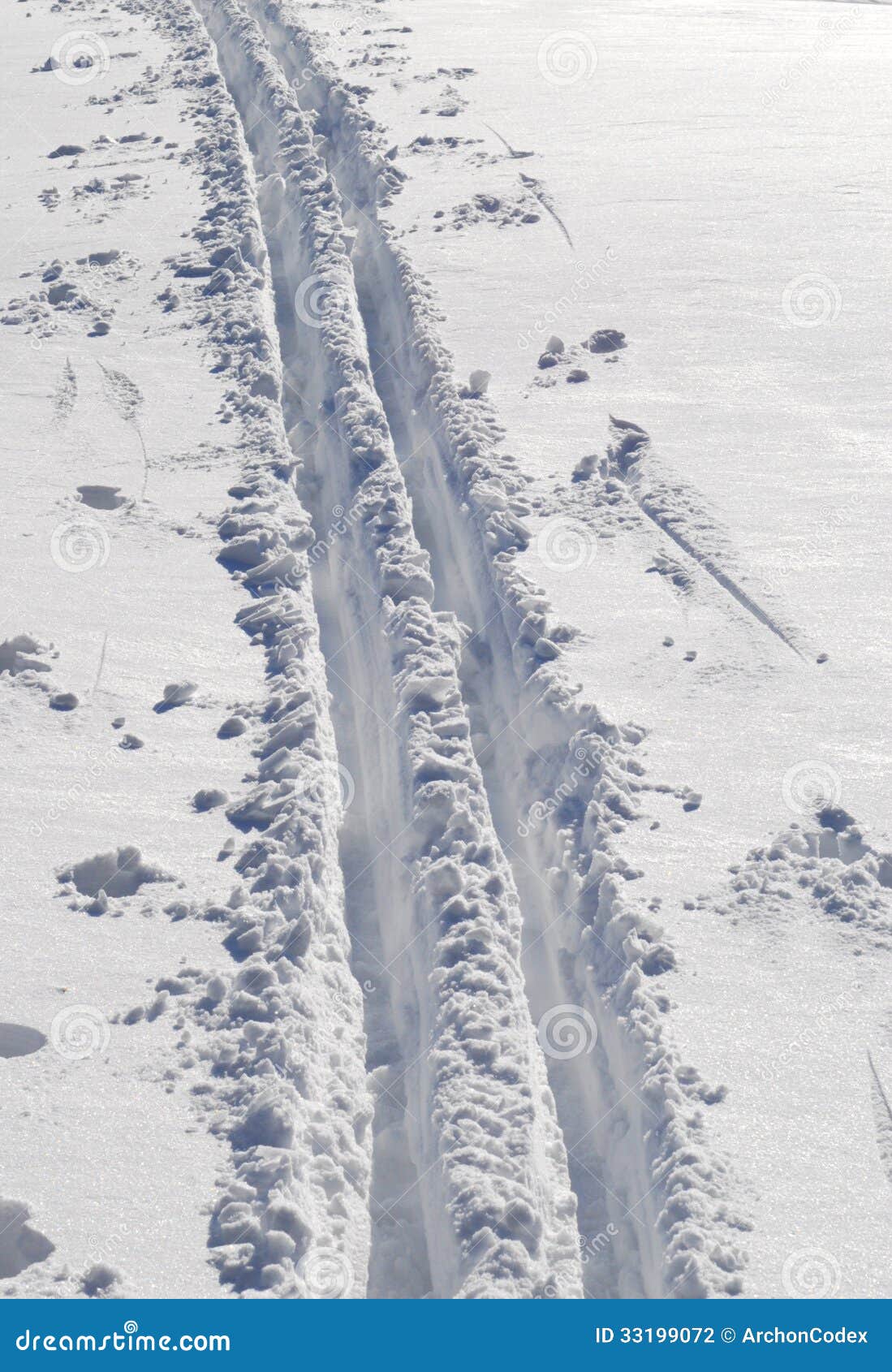 Ski tracks in fresh snow stock photo. Image of bright - 33199072