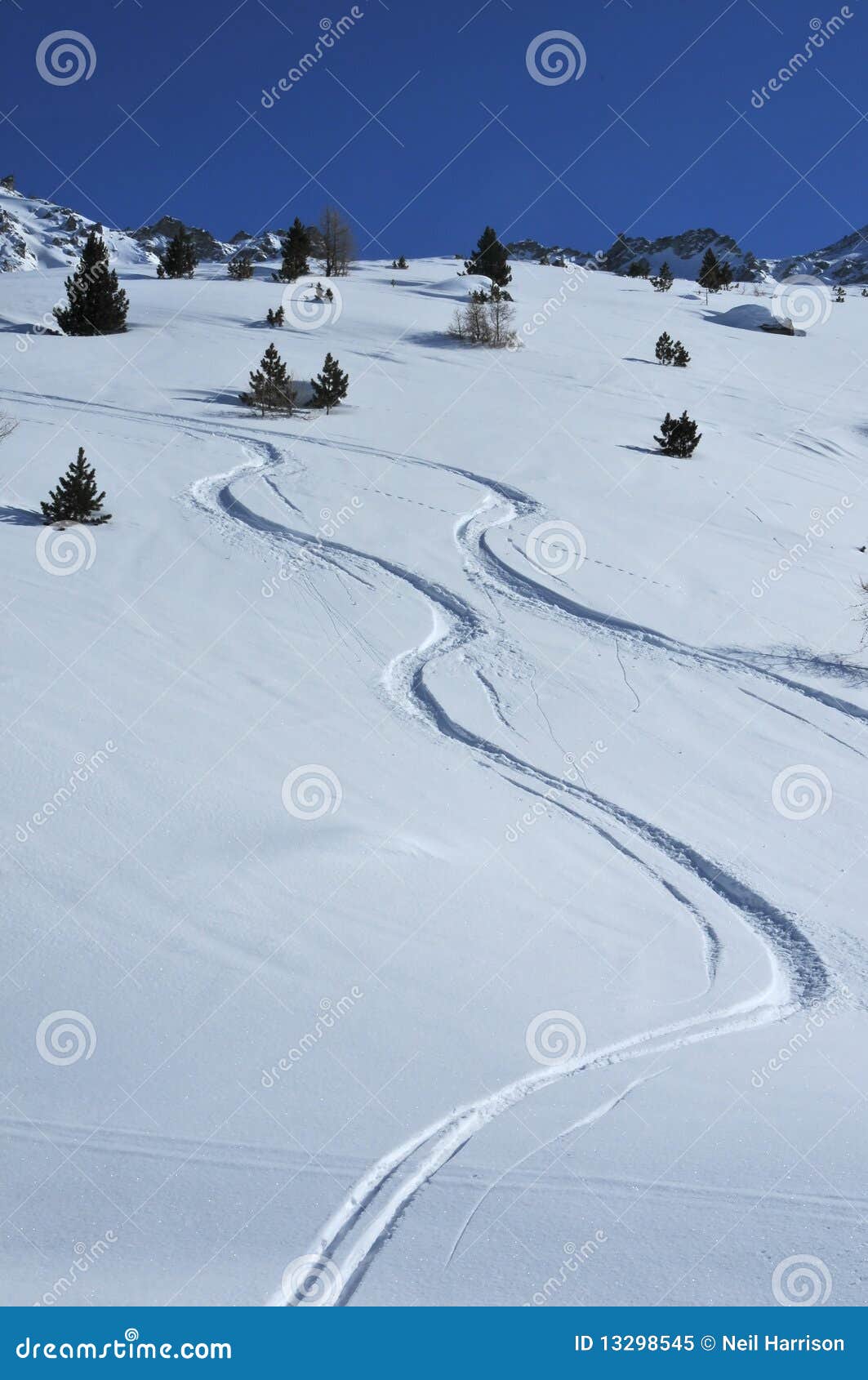 Ski tracks in powder snow stock image. Image of clean - 13298545