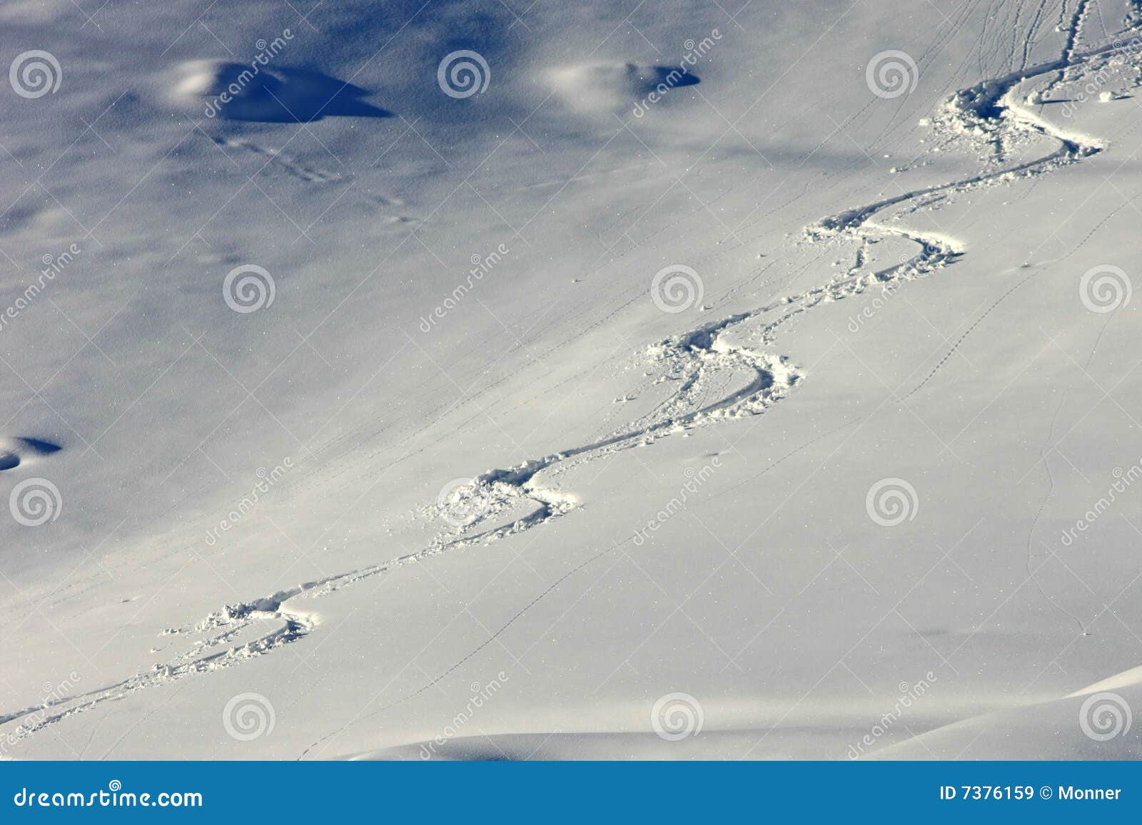 Ski Tracks in the Powder Snow Stock Image - Image of pattern, explore ...