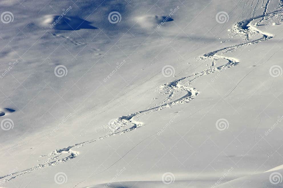 Ski Tracks in the Powder Snow Stock Image - Image of pattern, explore ...