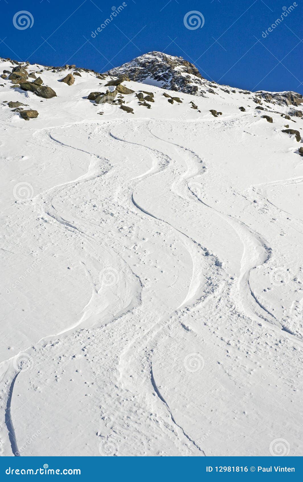 Ski tracks in the snow stock photo. Image of travel, snowboard - 12981816